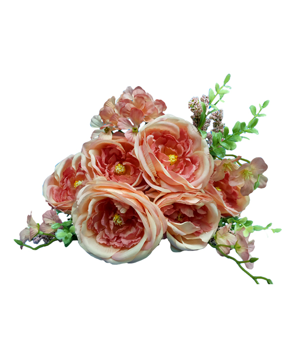 Cabbage Rose Bush X11 – L48cm (OF007) – SunEnergy Floral