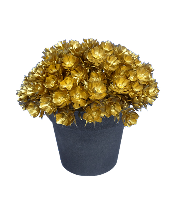 Gold Flower Pot-H13cm (210513) – SunEnergy Floral