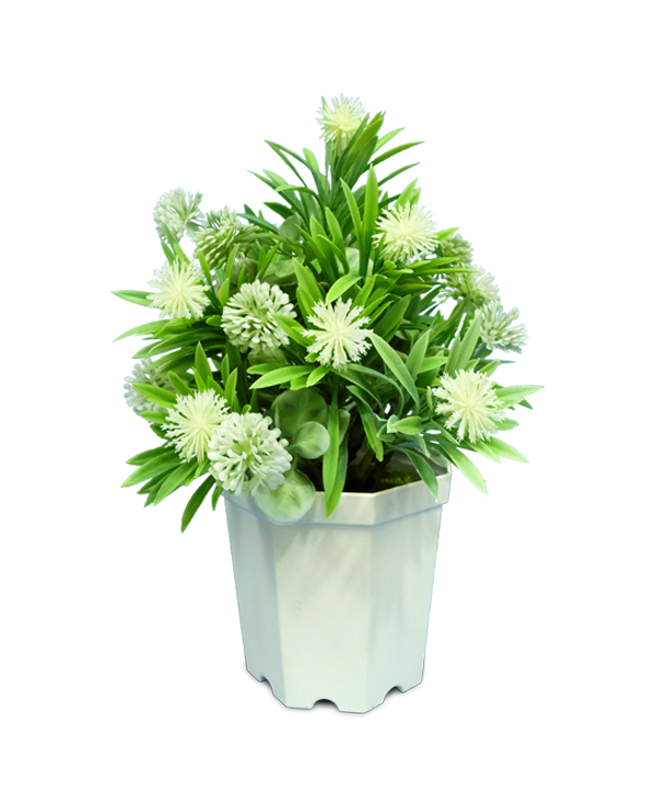 Bonsai H25cm M2362 Sunenergy Floral