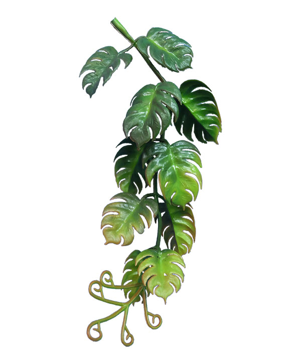 Hanging Mini Split Philo Leaf Bush – L80cm (CS5036) – SunEnergy Floral
