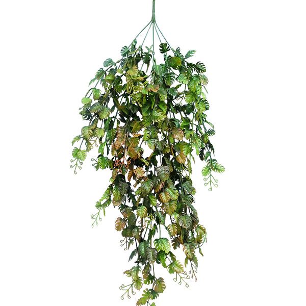 Hanging Philo Bush By Ashland Hotel Split Hanging Philo Bush By Ashland Furniture Hanging Philo ...