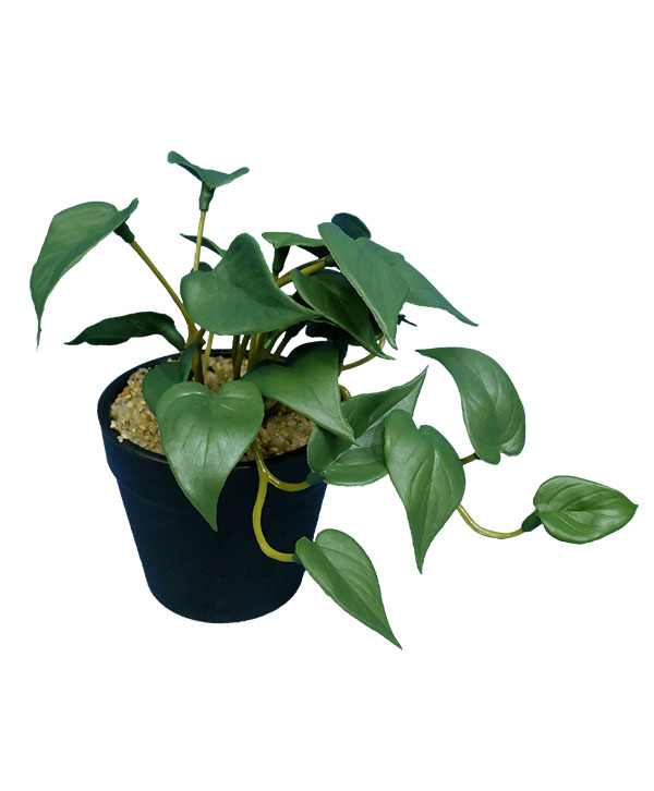 Mini Plant Pot – H15cm (430648) – SunEnergy Floral