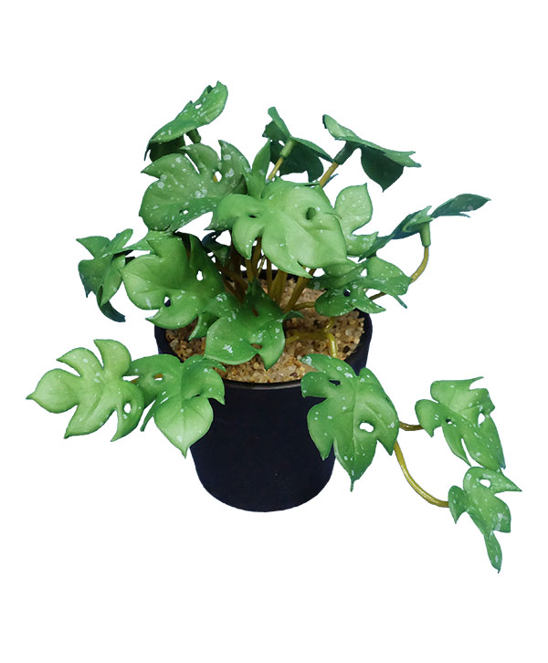 Mini Plant Pot – H15cm (430650) – SunEnergy Floral