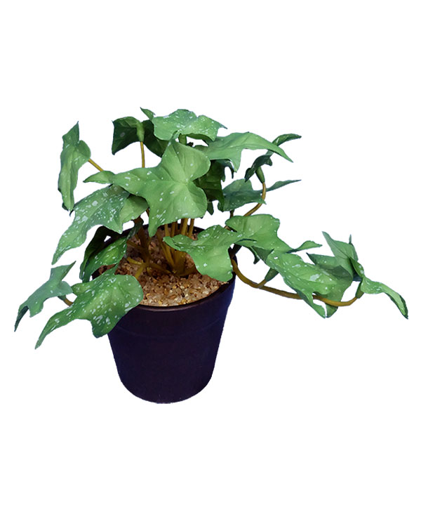 Mini Plant Pot – H15cm (430652) – SunEnergy Floral