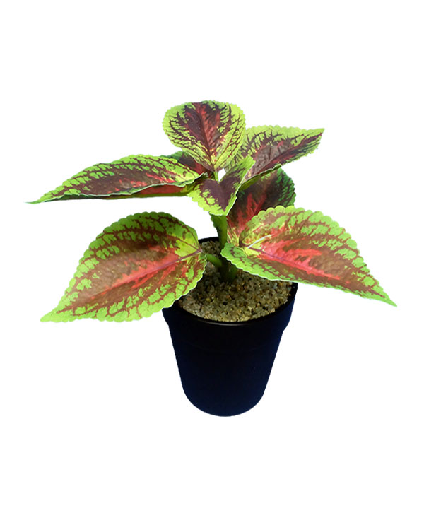 Mini Plant Pot – H20cm (430660) – SunEnergy Floral