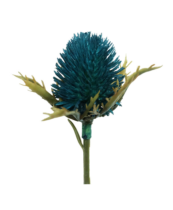Dry Thistle Spray X10 – H68cm (FSE-505) – SunEnergy Floral