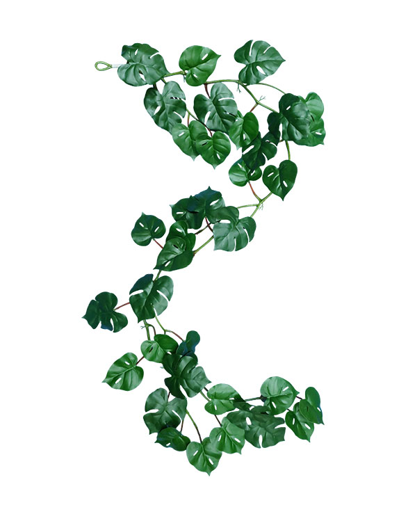 Split Philo Garland – L170cm (430711) – SunEnergy Floral