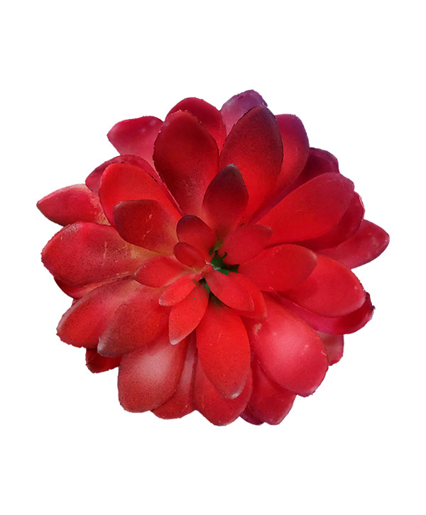 Cactus Spray X2 – H40cm (430725) – SunEnergy Floral