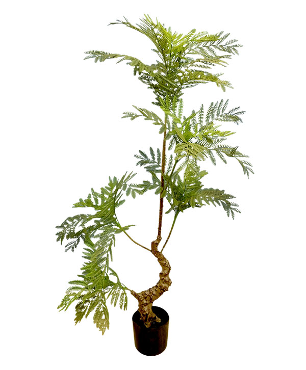 Mini Leaf Tree – H160cm (DY50) – SunEnergy Floral