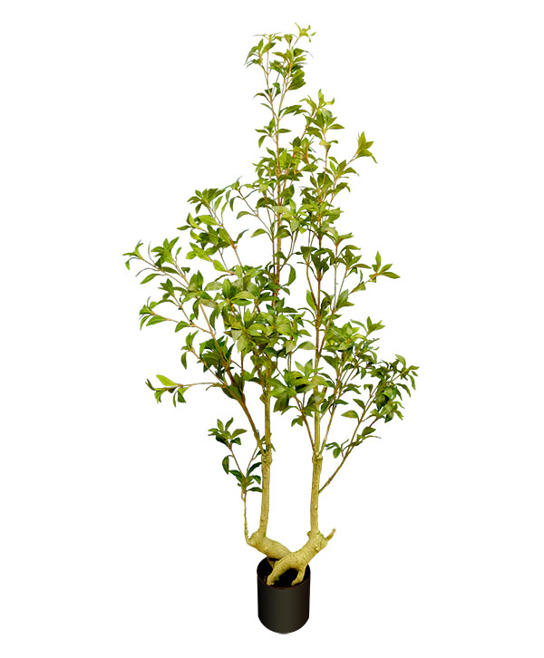 Mini Lucky Leaf Tree – H6ft (ZA91-180) – SunEnergy Floral