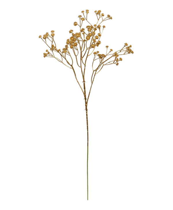 Gold Baby’s Breath Spray X4 – L60cm (530194) – SunEnergy Floral